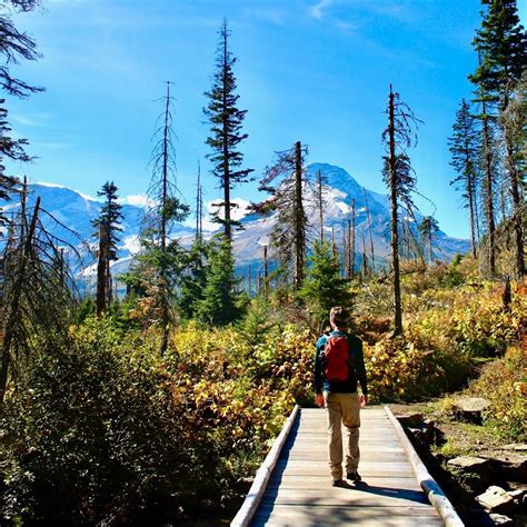 Joe Connelly Youtube