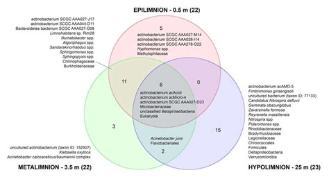 Venn Diagram Of Lowest Common Ancestor Lca Taxonomic Assignments For Download Scientific