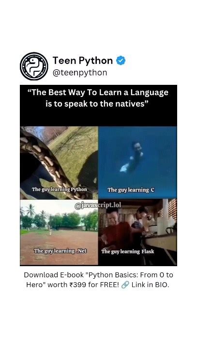 Teen Python Teaching Python To Teens Teenpython • Instagram Photos And Videos