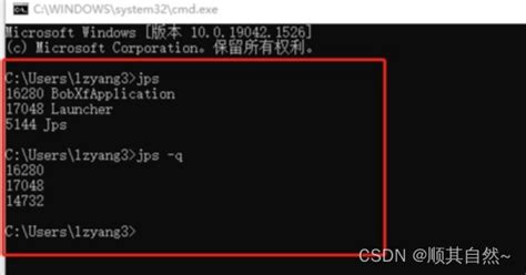 Jps命令详解 Csdn博客