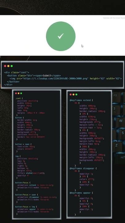 Submit Button Hover Animation Css Coding Programming Html