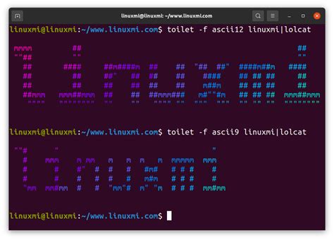 12 个在终端运行的有趣的 Linux 命令 Linux迷
