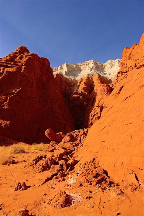 Sexy Landscape Photograph By Viktor Savchenko Pixels
