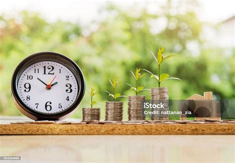 알람 시계 및 목조 주택 모델 및 동전 더미 위에 자연 배경 돈 성장 하는 나무의 단계 절약 그리고 투자 또는 가족 계획 개념 태양에 플레어 실루엣 톤 0명에 대한 스톡