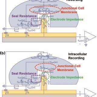 Interconnected And Independent Nanoelectrode Arrays A Scanning Download Scientific Diagram