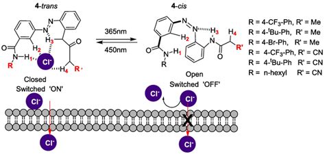 Azobenzenes Photoswitching And Their Chemical Sensor Application