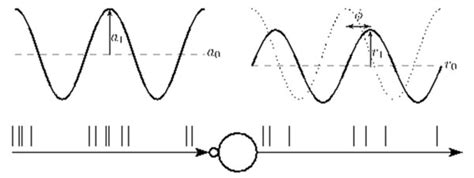 a neuron model denoted by large circle receives through a synapse