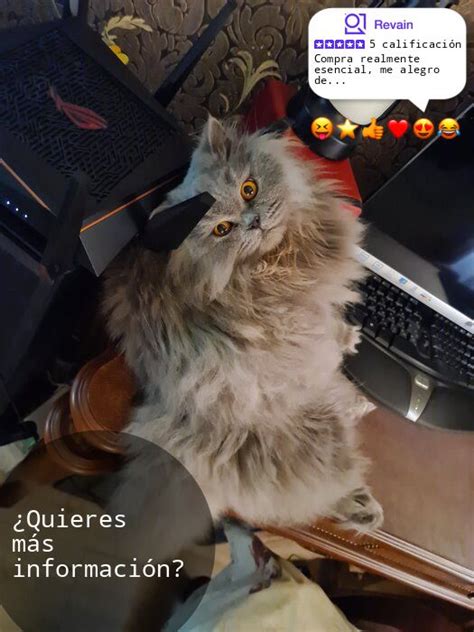 Samsung Unlocked Fingerprint Recognition Long Lasting