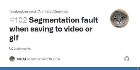 Segmentation Fault When Saving To Video Or Issue Facebookresearch Animateddrawings