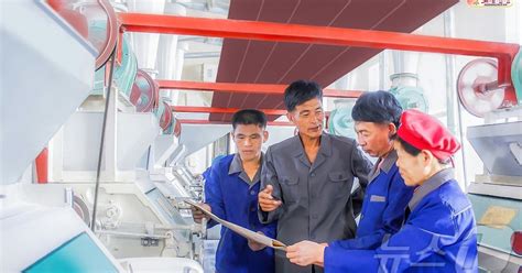 北 해주밀가공공장 밀가루 생산으로 높은 실적