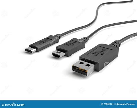 Usb Cable Plugs Isolated On White Background Vector Set Cartoondealer Com