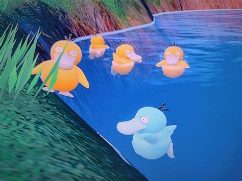 9 Does It Count As A Random Wild Shiny If I Had Stopped Hunting For