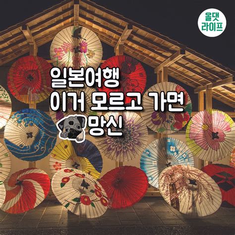올댓라이프 가을에 가기좋은 일본여행갈때 이것만 알고가자 일본여행지침서 올댓라이프 일본여행