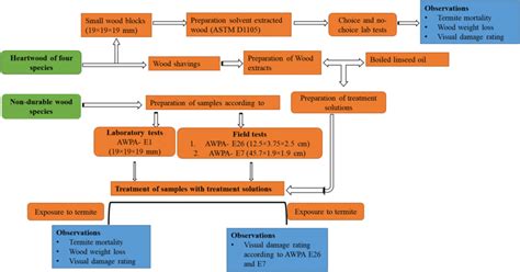 Schematic Representation Of Experimental Methods Download Scientific Diagram
