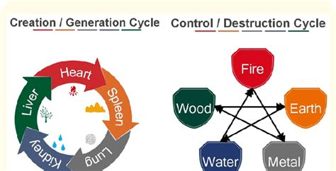 Generation Cycle And Control Cycle The First Cycle Of The Five Element