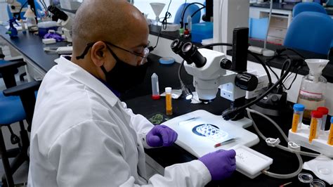 Video Super Resolution Live Cell Imaging Of Subcellular Structures