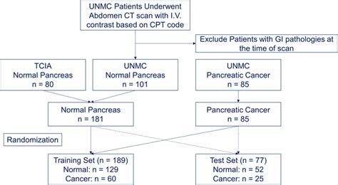 Patient Selection And Randomization Flowchart Download Scientific