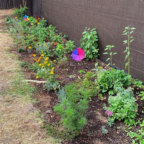 Клумба своїми руками ідеї оформлення 57 фото Набудували