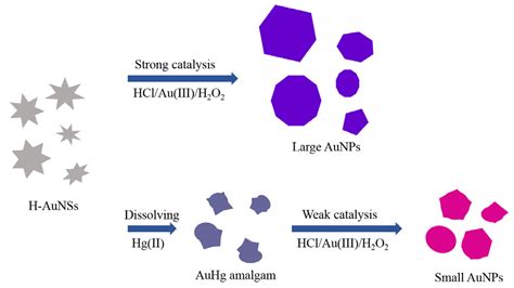 Label Free Colorimetric Detection Of Mercury Ii Ions Based On Gold Nanocatalysis
