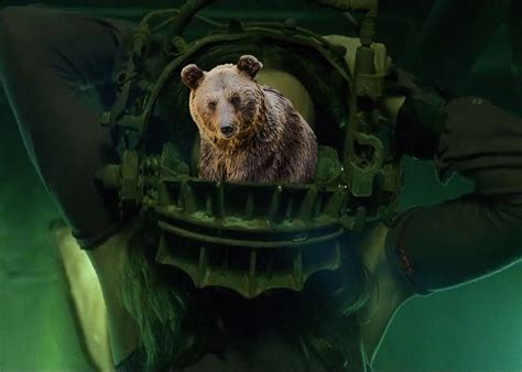 What Does The Reverse Bear Trap Do The Tube