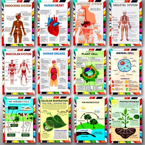 Laminated Educational Chart A4 Size Science Shopee Philippines