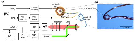 edge machine learning assisted robust magnetometer based on randomly