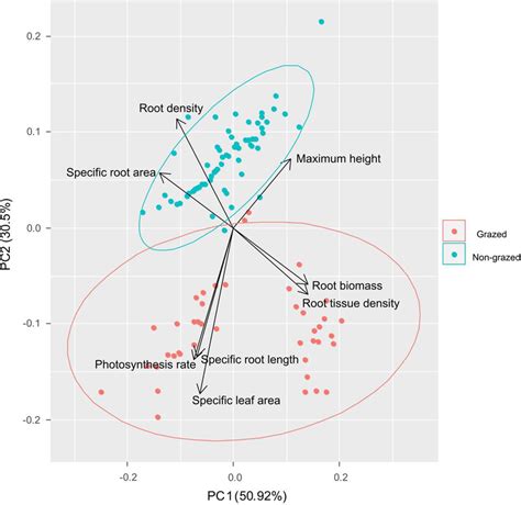 Principal Component Analysis Of Belowground Root Density Root Download Scientific Diagram