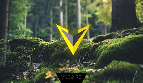 Vsc Deal To Structure Carbon Credit Program Vscwire Vsc Deal To Structure Carbon Credit Program Vscwire