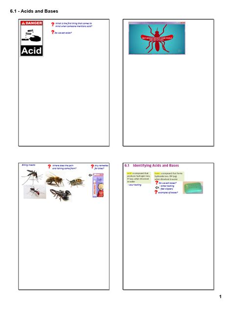 6 1 identifying acids and bases pdf
