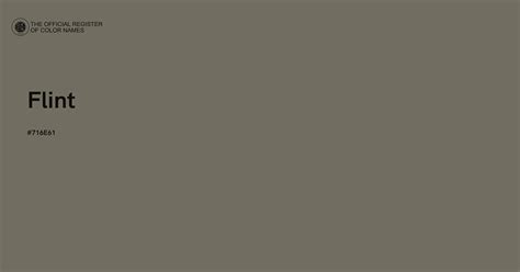Flint Color 716e61 The Official Register Of Color Names