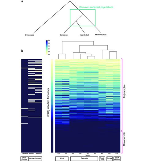 Insertion Frequency Heat Map A Phylogenetic Relationship Among Download Scientific Diagram