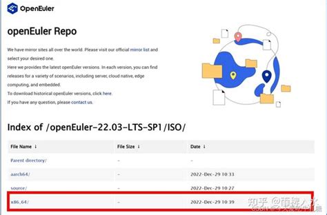用vmware Workstation 17 Pro 安装openeuler 详细教程 知乎