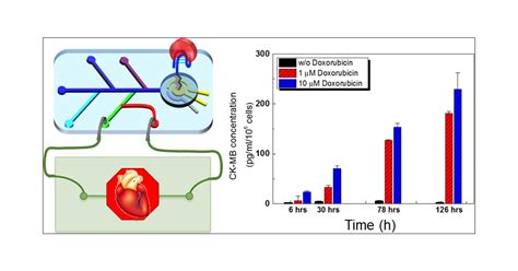 Aptamer Based Microfluidic Electrochemical Biosensor For Monitoring