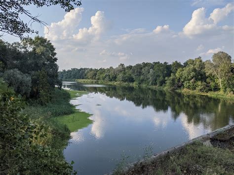 пані добродійка Twishanna Twitter