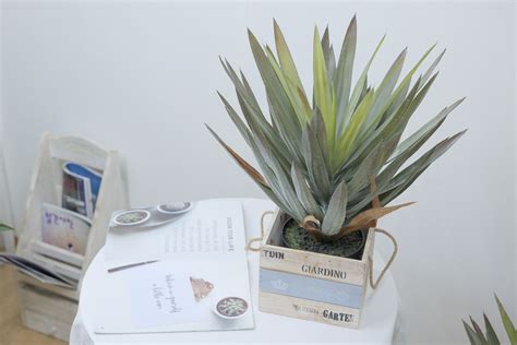 아티플라자 인조나무 유카 글리오사 50cm 용설란 조화화분