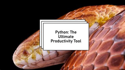 🌟 Fun With Python Procrastination And Decision Making 🌟