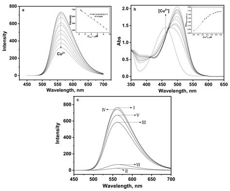 Sensors Free Full Text Construction Of Chitosan Modified Naphthalimide Fluorescence Probe