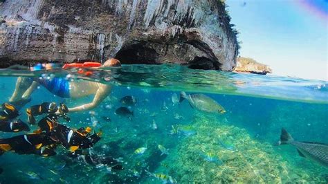 Guide To Los Arcos Marine Park Snorkeling And Diving In Pv Pinnacle