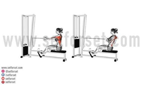 12 Best Back Exercises Women Can Use To Build Muscle Set For Set