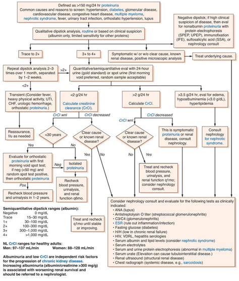 Proteinuria Algorithms And Charts Algorithm Chart Save