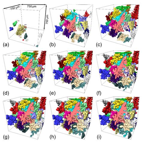 3d Phase Field Modeling Of Multi Dendrites Evolution In Solidification And Validation By