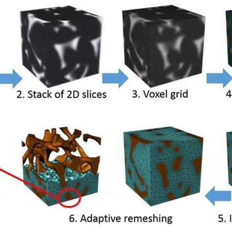 Testing Process 12 Download Scientific Diagram