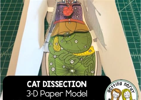 Getting Nerdy® Science—scienstructable 3 D Dissection Cat Paper Model