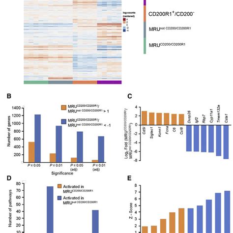 Unsupervised Hierarchical Clustering Of Distinct Epithelial Cell