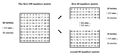 Anatomy Of The First 100 Numbers Matrix According To Fertility Concept Download Scientific