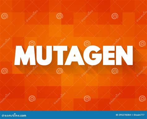 Chromosomal Mutations Structural Modifications Infographic Diagram Vector Illustration