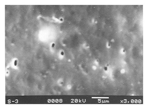 Scanning Electron Micrographs Showing The Various Stages Of Experiments Download Scientific