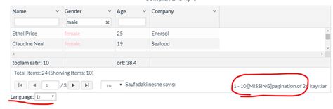 I N Empty Translation Displays Error Message Instead Of Empty String Issue Angular