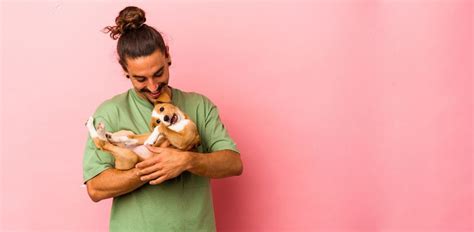 Sepsis In Dogs Symptoms Causes And Treatment