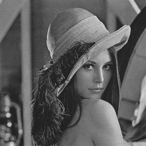 传播滤波（propagation Filtering Algorithm）matlab实现propagated Image Filtering Csdn博客